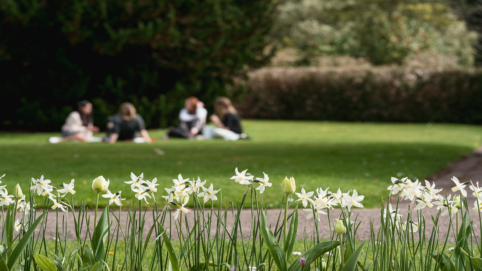 Discover peace and wellbeing at the University of Exeter - Visit Exeter