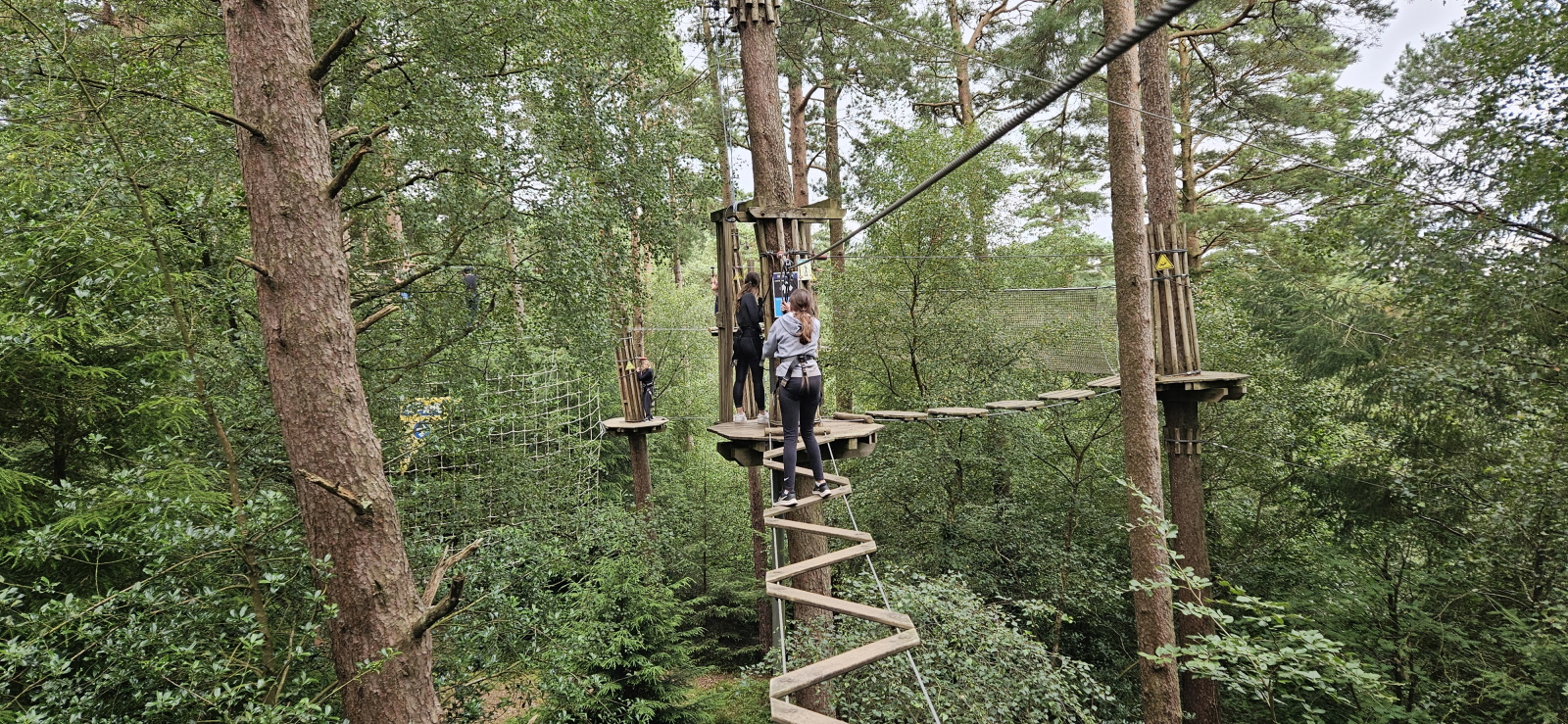 An exhilarating high ropes adventure at Go Ape! - Visit Exeter