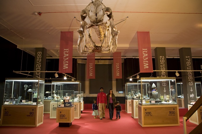 Top 5 Family Fun Activities in Exeter - Visit Exeter