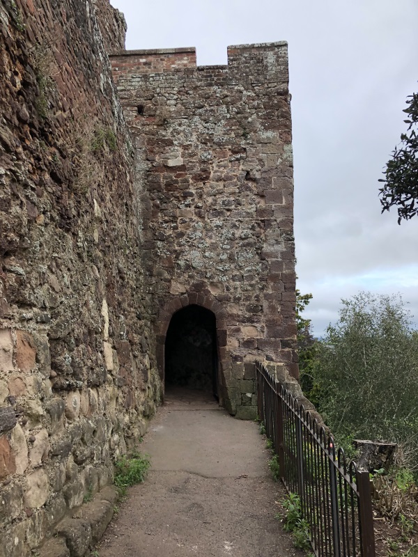 Guest Blog: Exeter's Heritage Trails - Visit Exeter