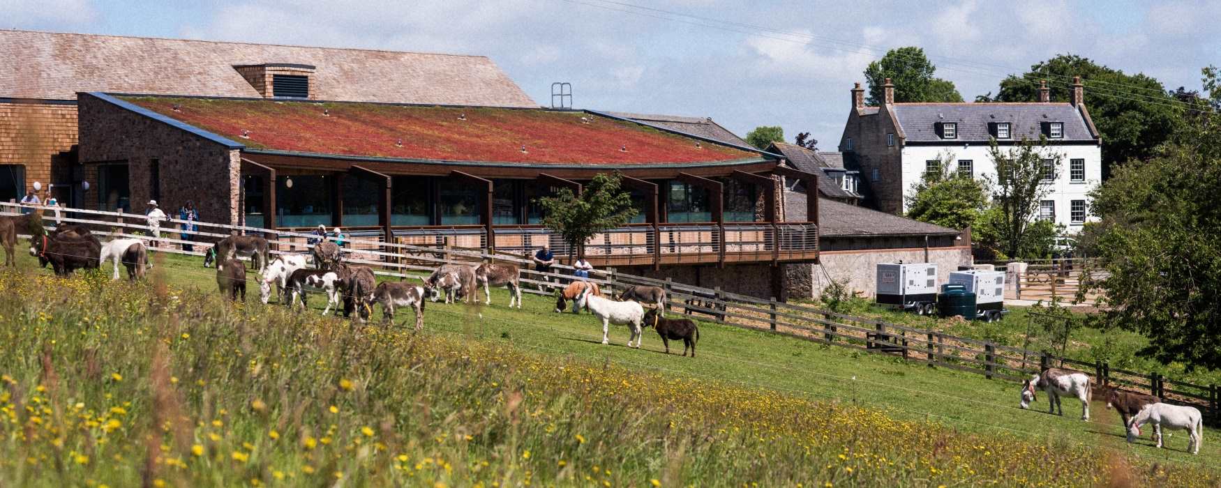 Family Friendly Attractions in Exeter