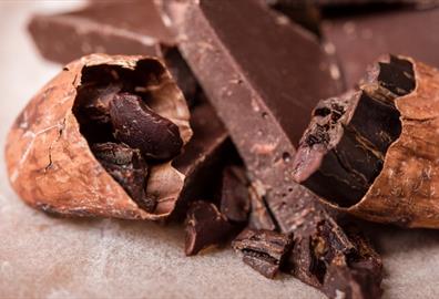 Royal Albert Memorial Museum & Art Gallery - RAMM - Museum in Exeter ...