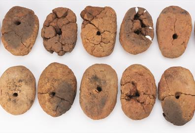 Royal Albert Memorial Museum & Art Gallery - RAMM - Museum in Exeter ...