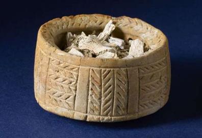 Royal Albert Memorial Museum & Art Gallery - RAMM - Museum in Exeter ...