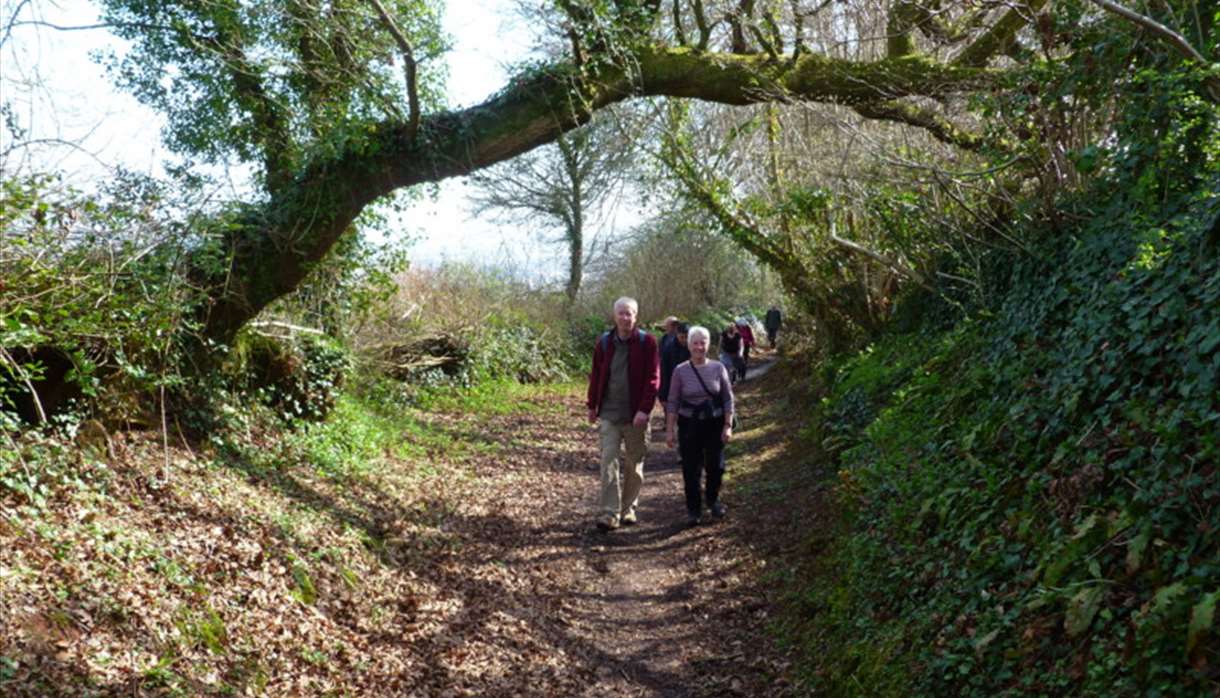 Exeter Green Circle Walk - Waymarked Trail in EXETER, Exeter - Visit Exeter