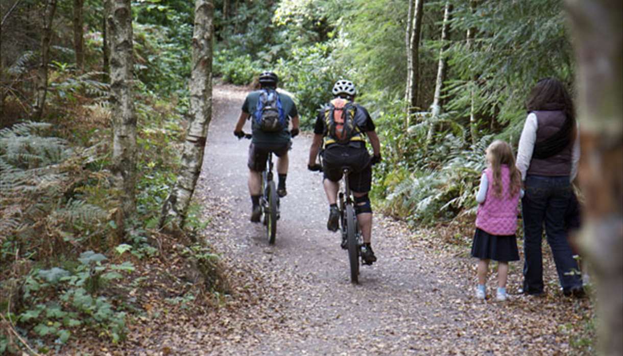 Haldon Forest Cycle Trails - Cycle Route in Exeter, Exeter - Visit Exeter