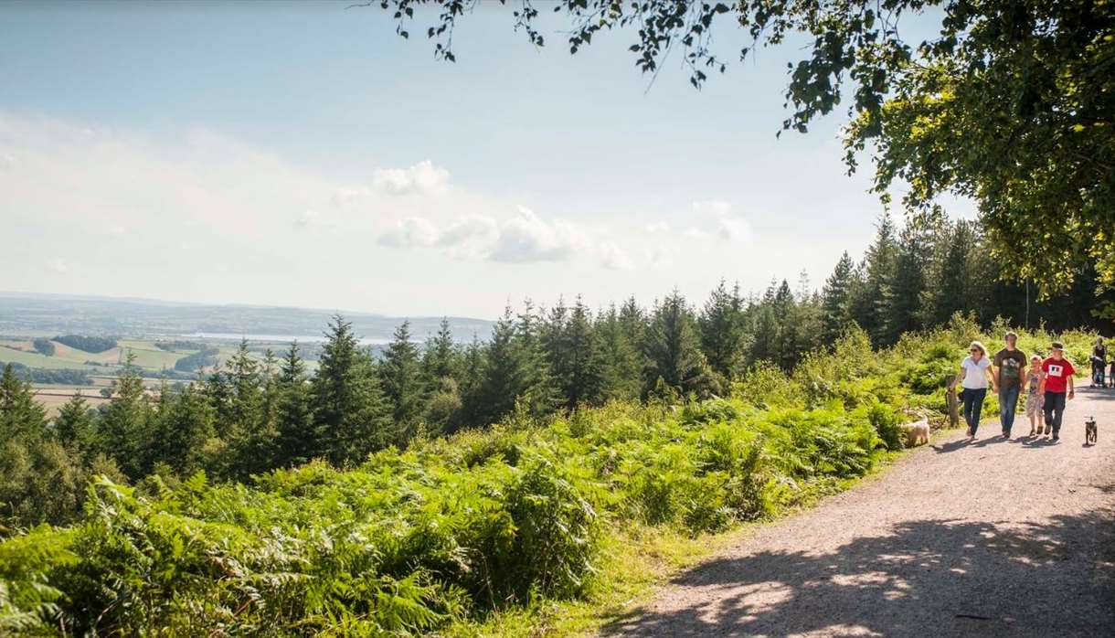 Haldon Forest Park - Forestry England - Country Park/Nature Reserve in ...