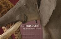 Royal Albert Memorial Museum & Art Gallery - RAMM - Museum in Exeter ...